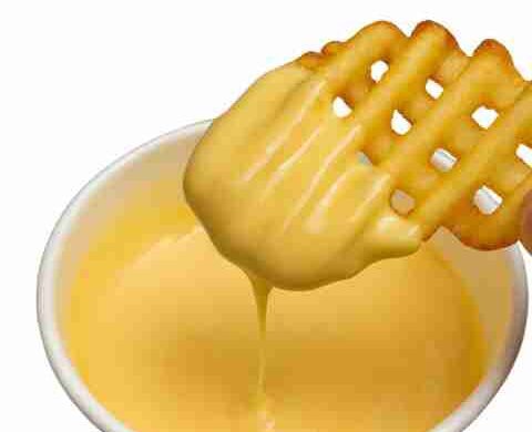 Philadelphia Cheesecake Filling Recipe | FoodsWild